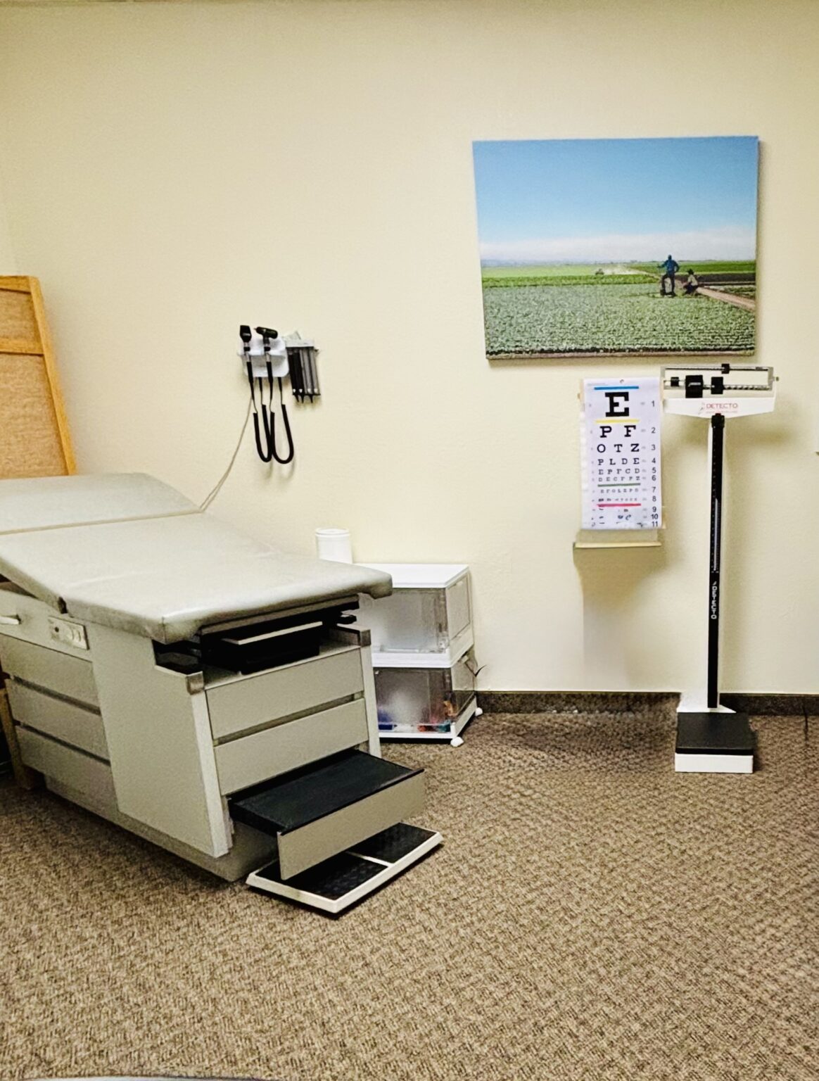 Home / Inicio - AG Health